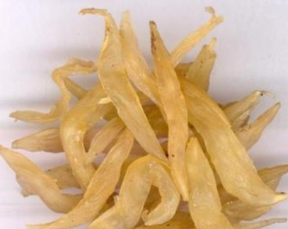 Radix asparagi 天冬 Tian Men Dong 天門冬 Cochinchnese Asparagus Root Tian ...